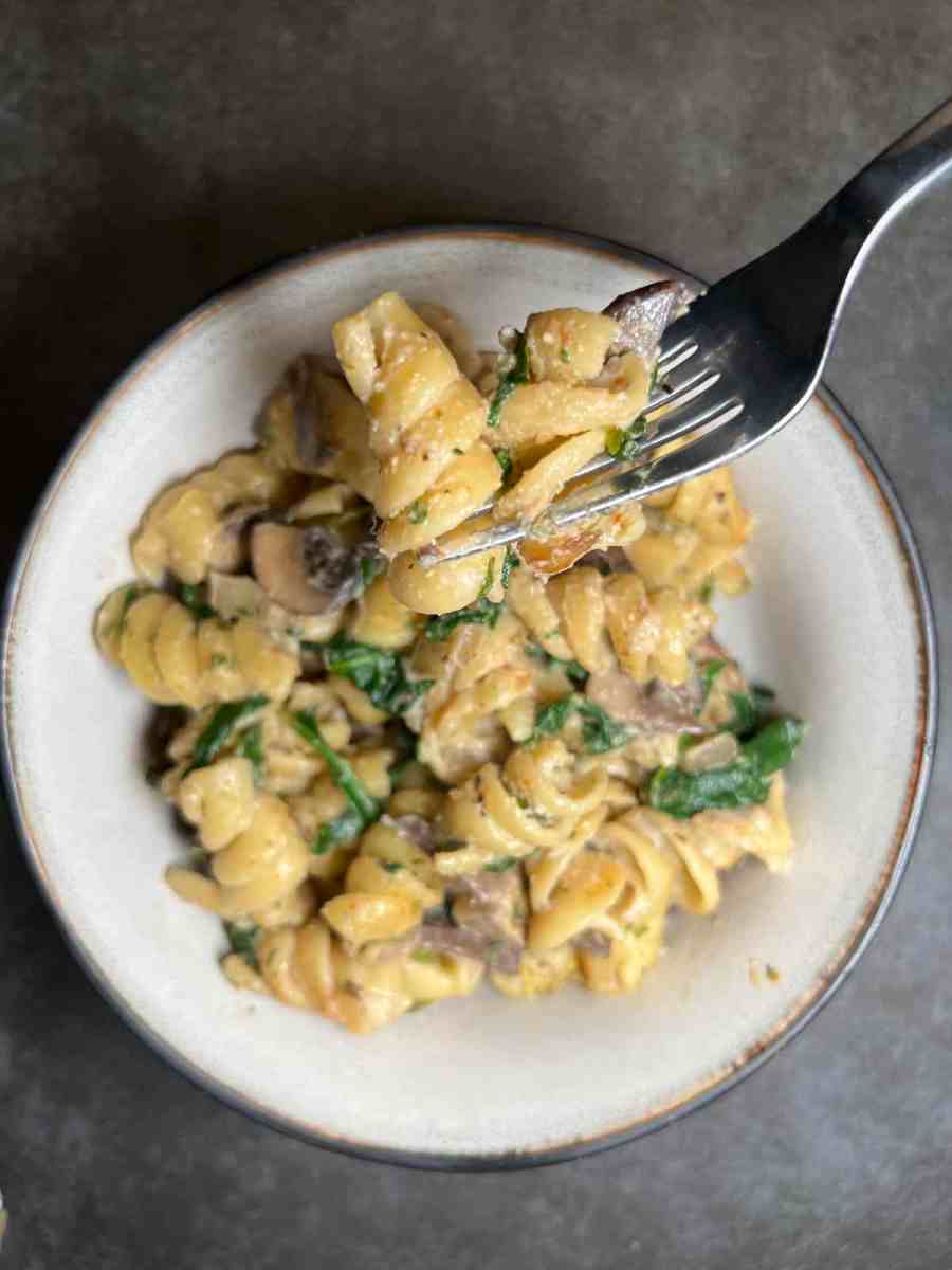 Welcome to Made to Sustain! - made to sustain