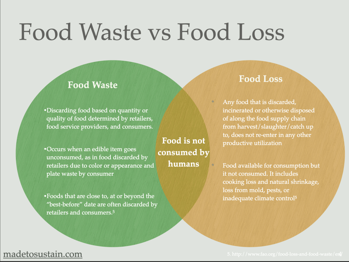 Food Waste vs Food Loss: The Difference Between Them - made to sustain