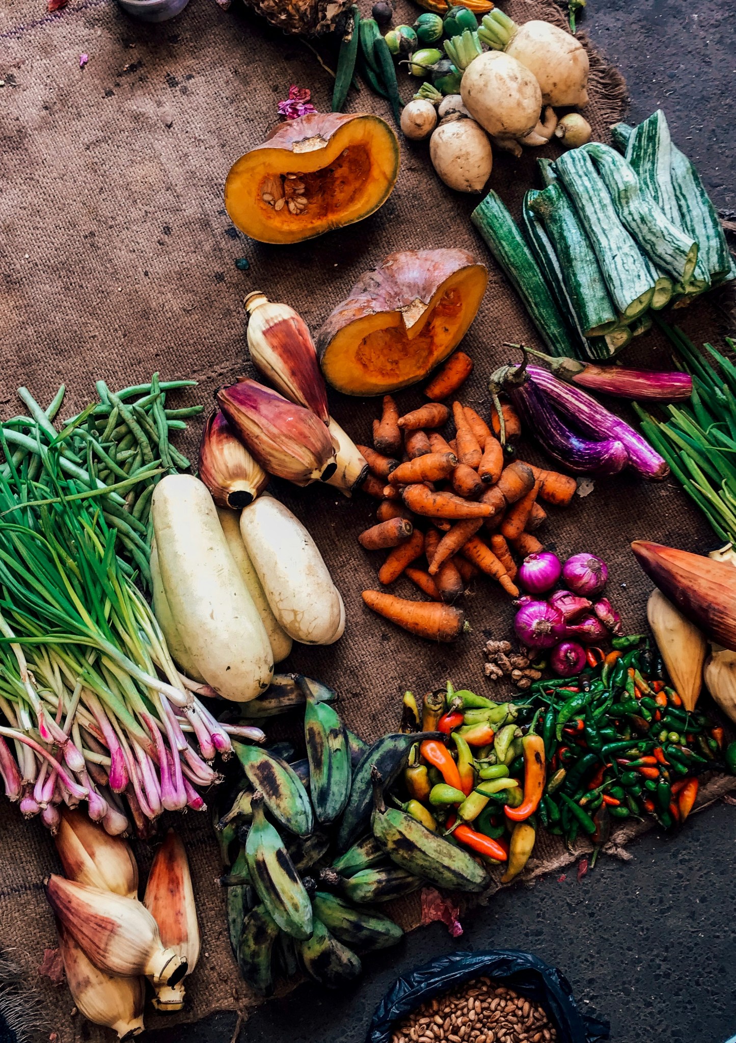 Sustainable Food Made Simple - made to sustain