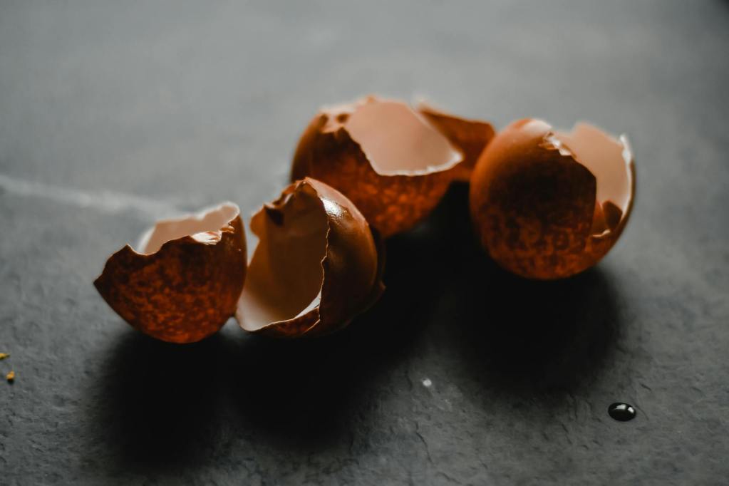 Not a Myth: How & Why You Should Use EggShells in The Garden - made to ...